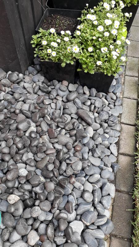 Decorative Pebbles Bunnings | Shelly Lighting