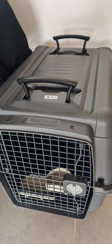 Anione Transportbox