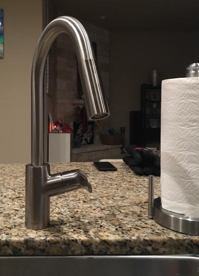 Hansgrohe Focus Single-Handle Pull-Down Sprayer Kitchen Faucet in ...