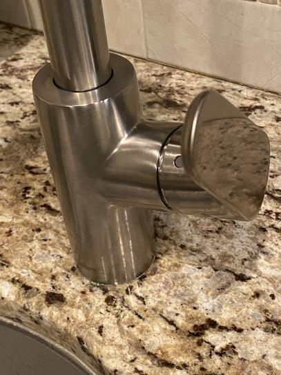 Hansgrohe Focus Single-Handle Pull-Down Sprayer Kitchen Faucet in ...
