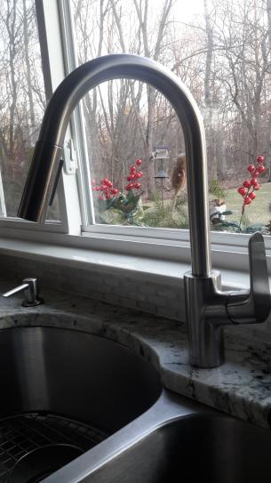 Hansgrohe Focus Single-Handle Pull-Down Sprayer Kitchen Faucet in ...