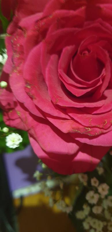 Sainsbury's online Grocery Shopping and Fresh Food Delivery