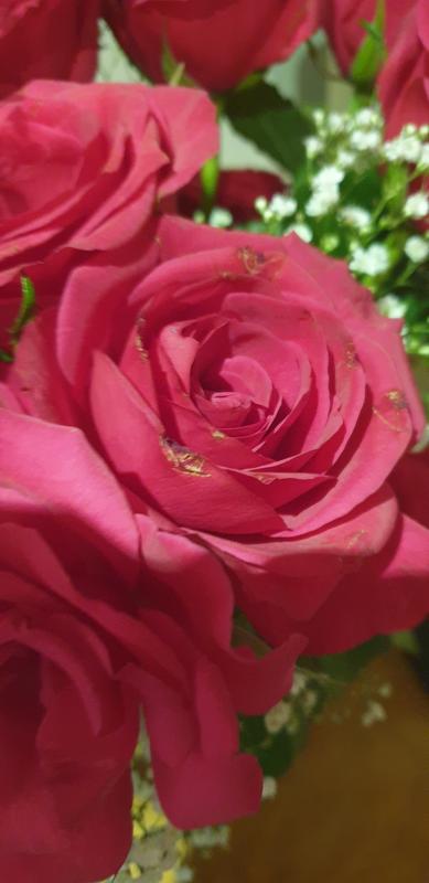 Sainsbury's online Grocery Shopping and Fresh Food Delivery