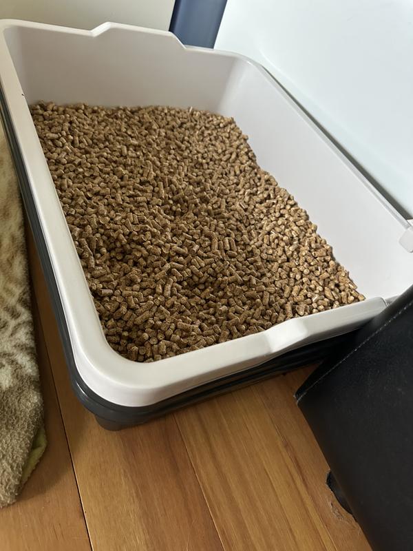 Ozpet litter store