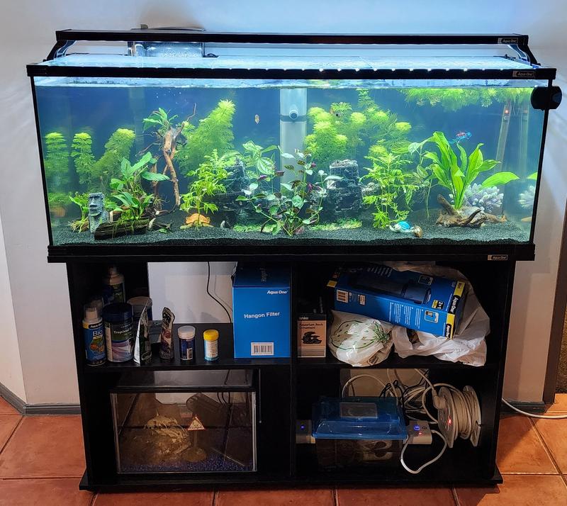 Aqua One Horizon 65 Silver 40l Fish Tank 💎 Horizon 182 Glass Starter ...