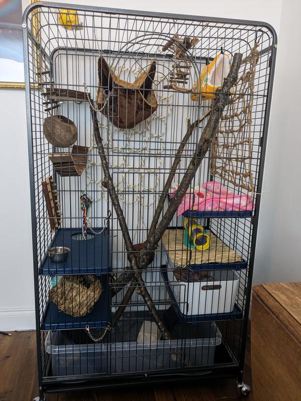 Best rat cages uk store