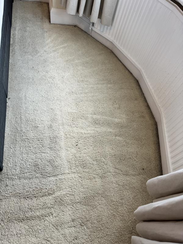 Vax Platinum Power Max Carpet Cleaner | Vax Official Website