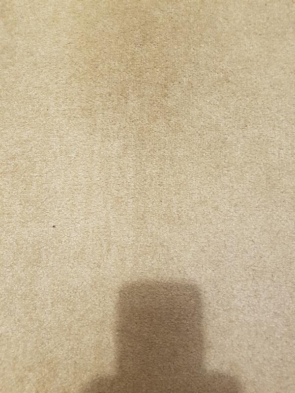 Vax Platinum Power Max Carpet Cleaner | Vax Official Website