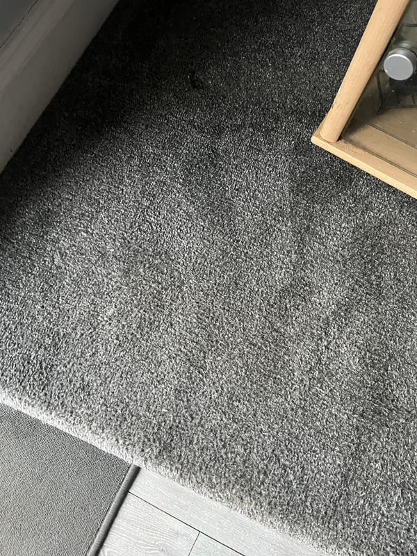 Vax Platinum Power Max Carpet Cleaner | Vax Official Website