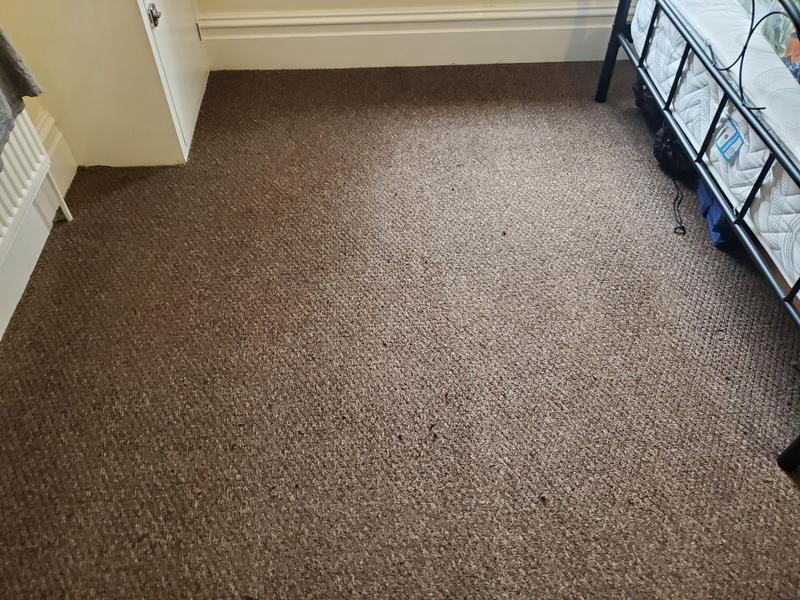 Vax Platinum Power Max Carpet Cleaner | Vax Official Website